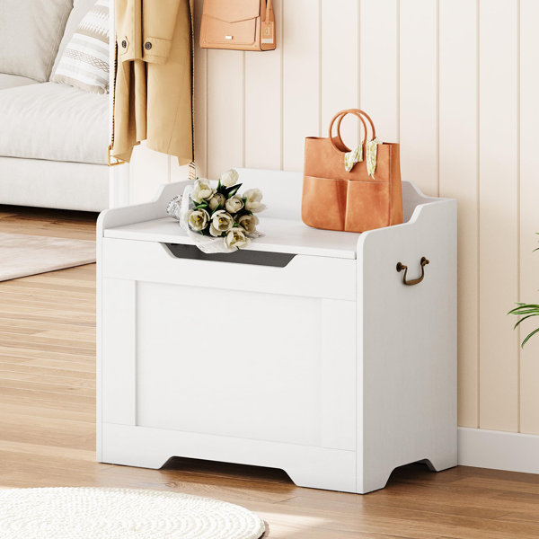 Millwood Pines Storage Chest & Reviews | Wayfair