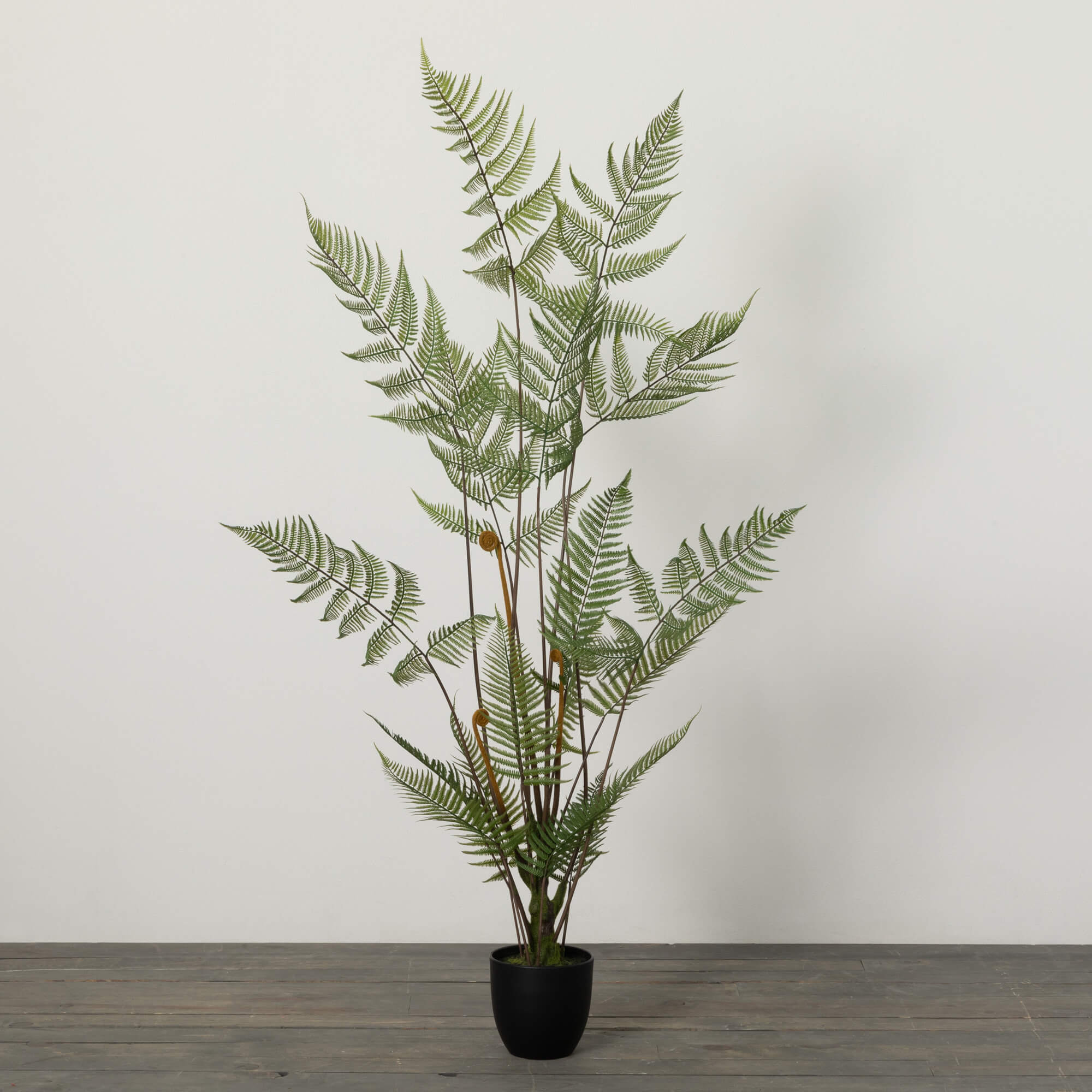 Dakota Fields Artificial High Potted Fiddlehead Fern 60"H; Green | Wayfair
