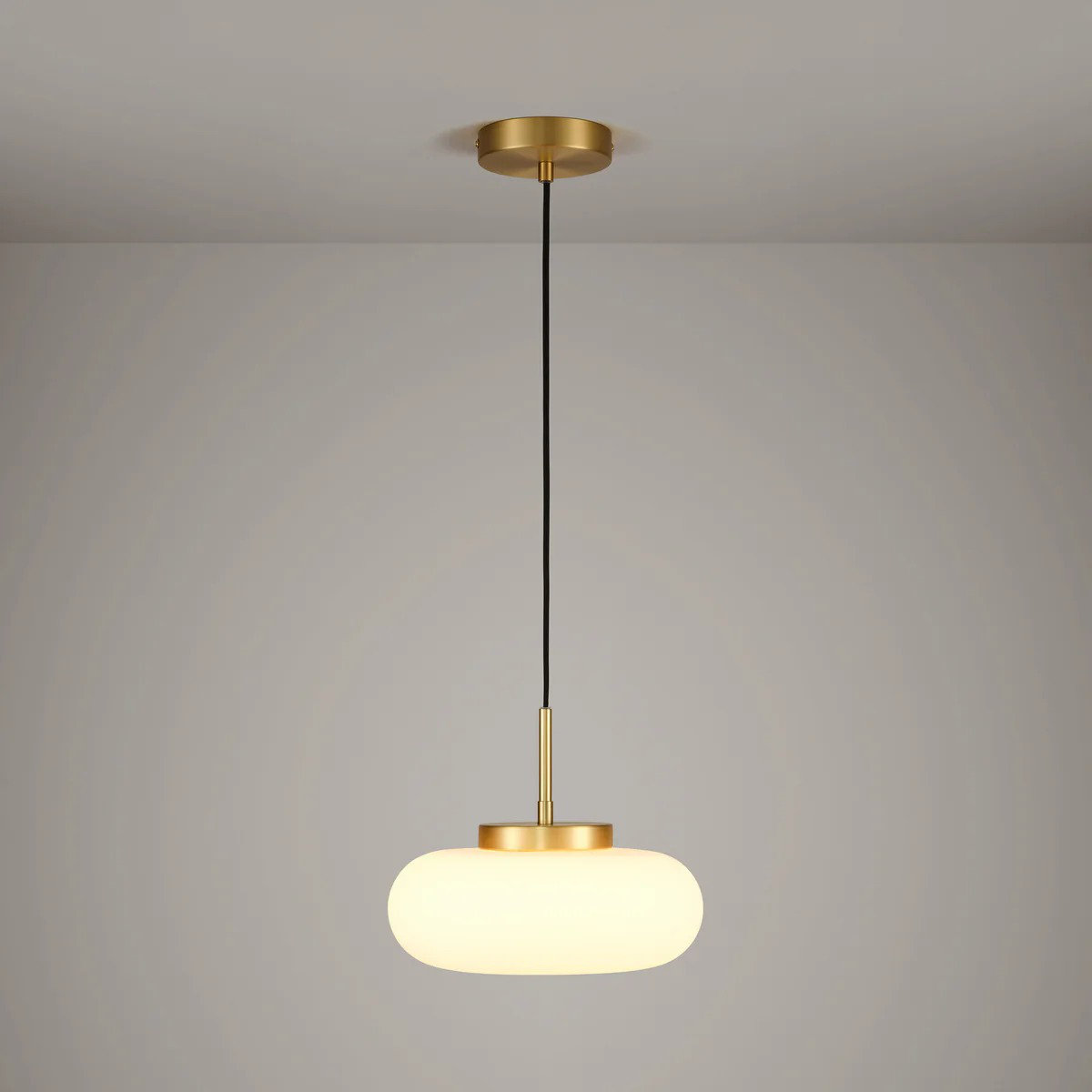 Plank Hardware MARIN Glass Pendant Light - Wayfair Canada