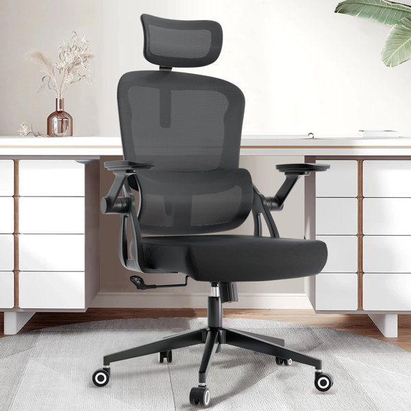 Inbox Zero Heavy Duty Ergonomic Desk Office Chair, High Back Home ...