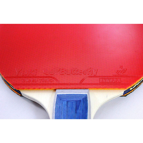 Butterfly Table Tennis Paddle | Wayfair