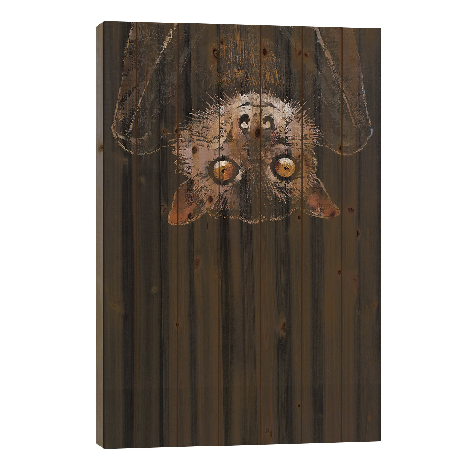 Millwood Pines Bat | Wayfair