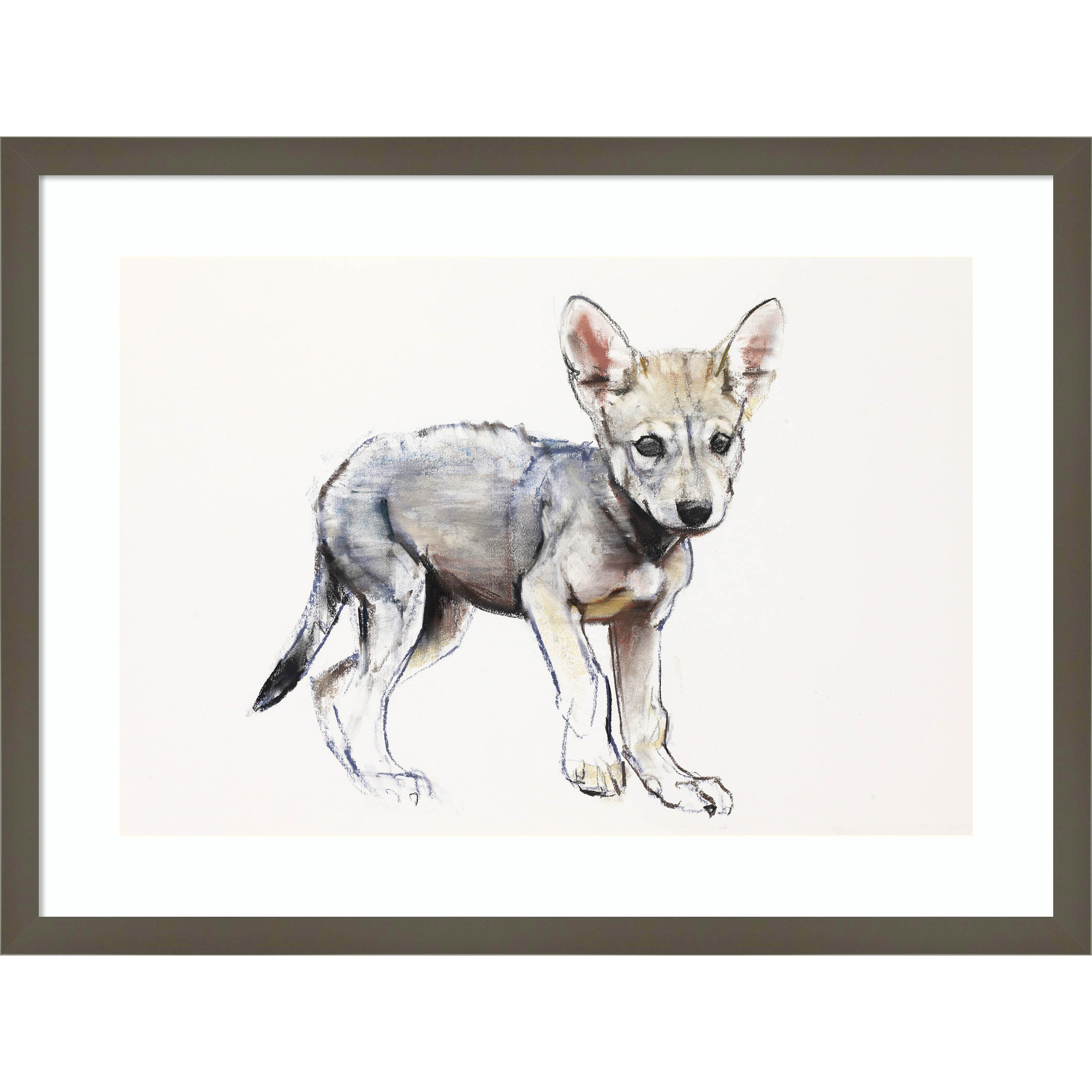 Wildon Home® Bethenny Hesitating Arabian Wolf Pup by Mark Adlington ...