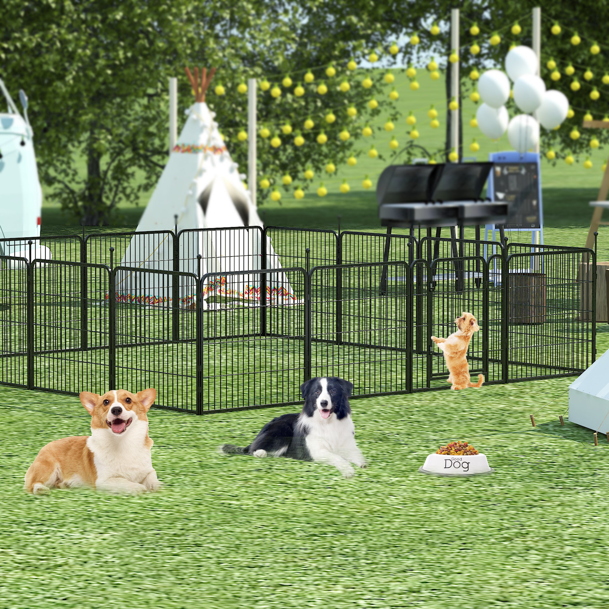 LFCREATOR Iron Exercise Pen & Reviews | Wayfair