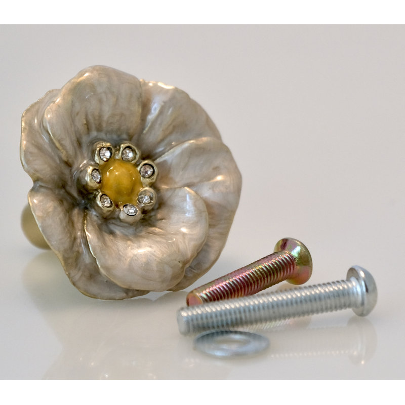 Charleston Knob Company Pearl White Forget-Me-Not Flower Knob | Wayfair
