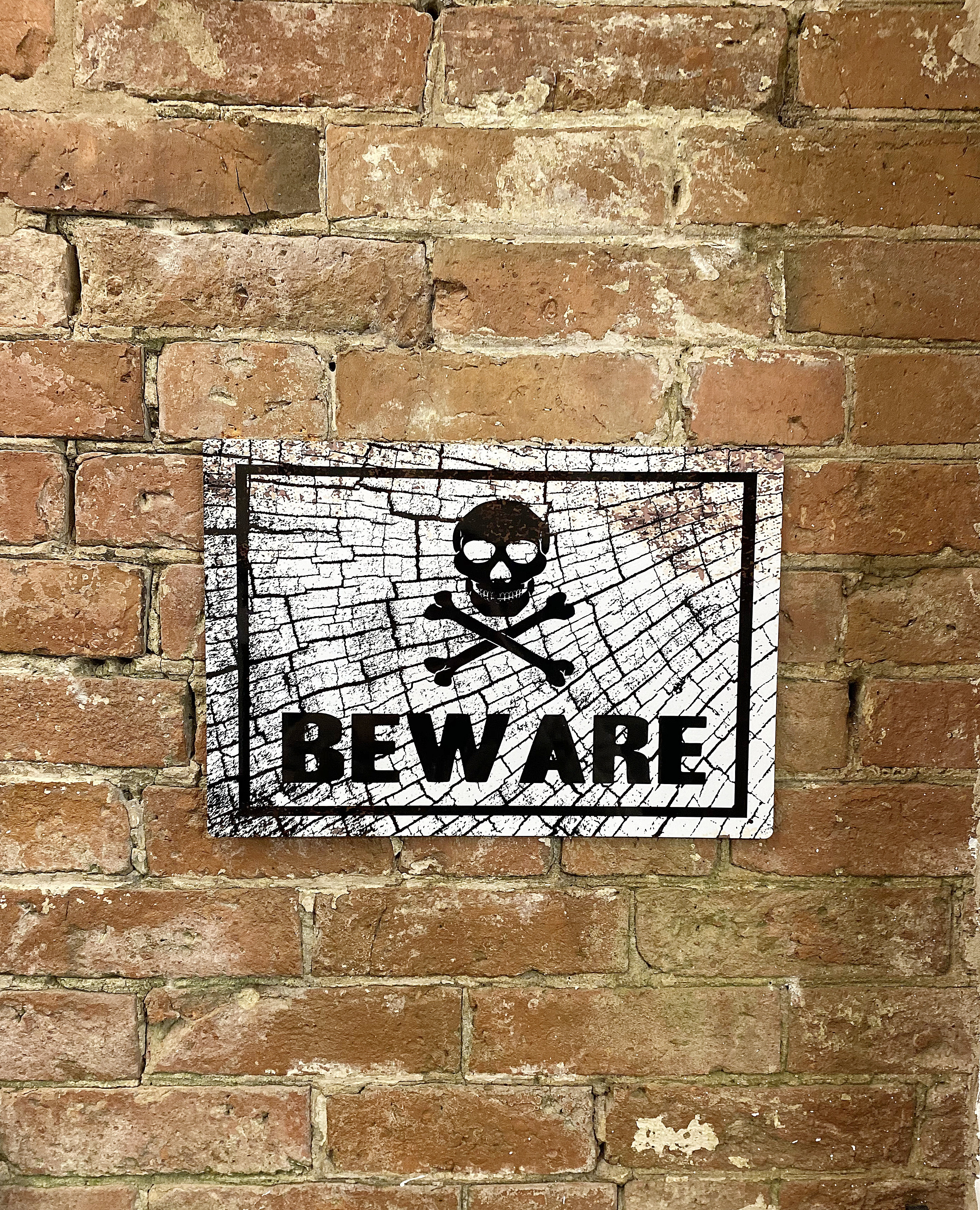 Happy Larry Woodrum Skull Beware Signs and Plaques | Wayfair.co.uk