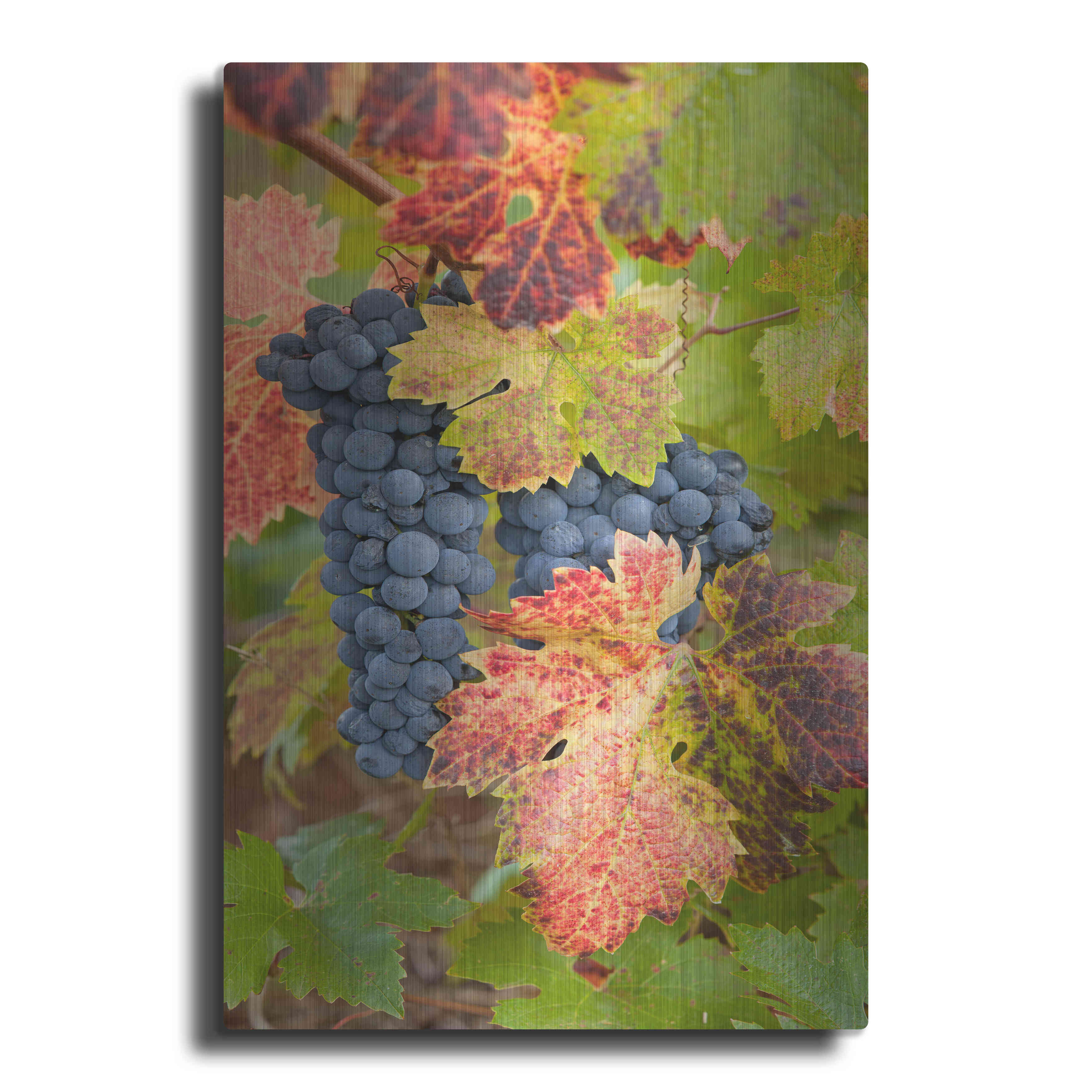 Red Barrel Studio Luxe Metal Art ''Summit Lake Zinfandel'' By ...