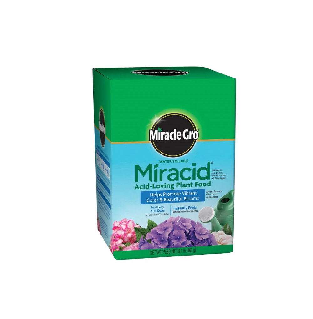 Miracle-Gro Miracid Powder Plant Food Growing Kit | Wayfair
