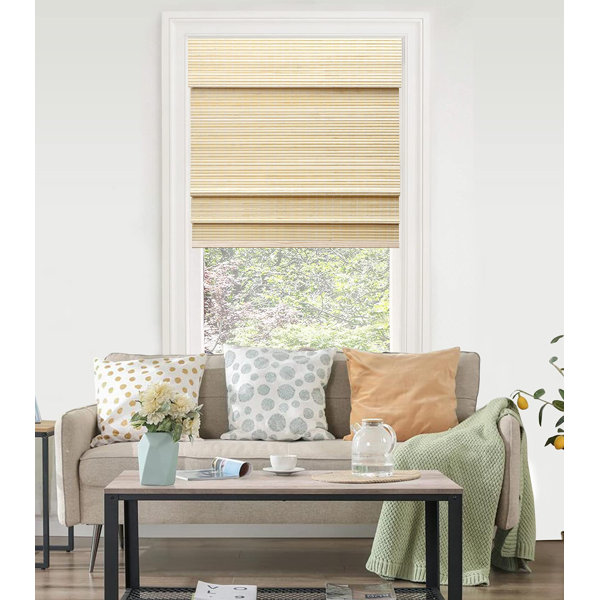 Symple Stuff Light Filtering Roman Shade | Wayfair