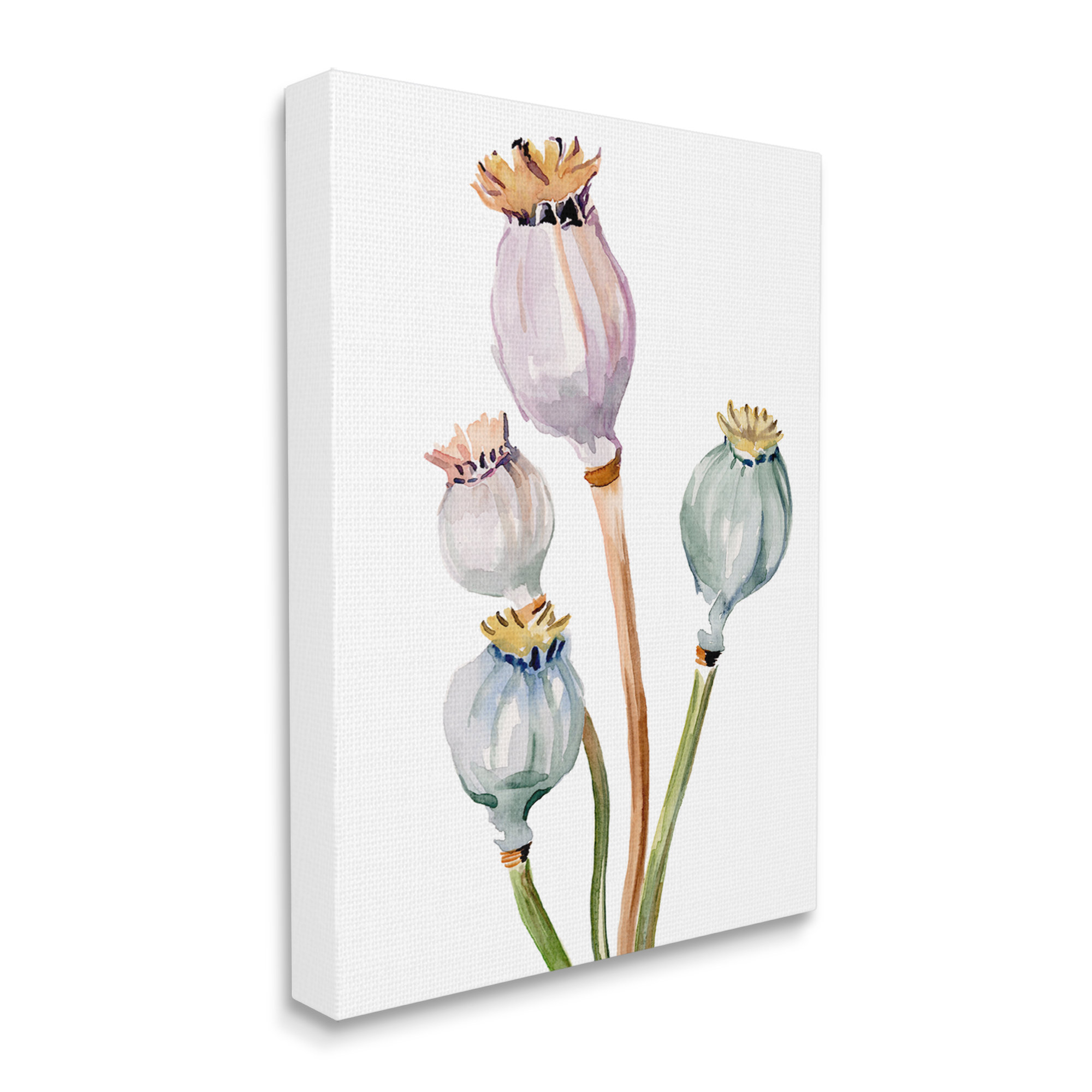 Stupell Industries Au-693-Canvas Pastel Poppy Pods Watercolor On Canvas ...