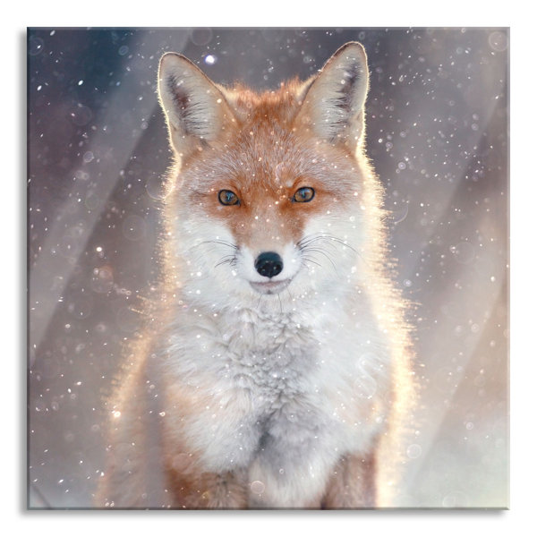 Union Rustic Red Fox In Winter - No Frame Print on Glass | Wayfair.co.uk