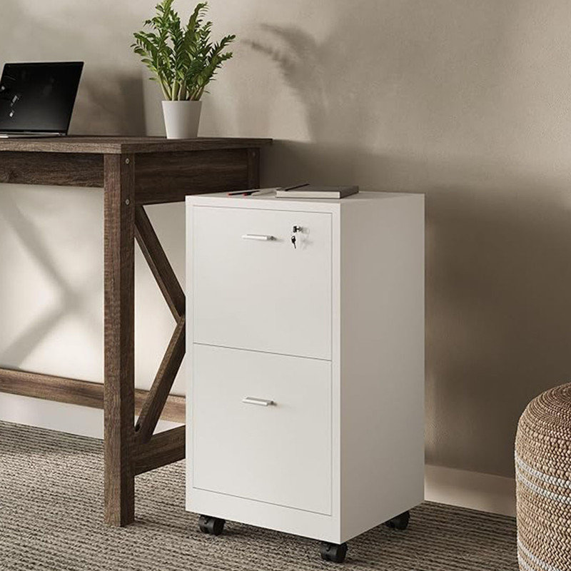 Latitude Run® 2-Drawer Cabinet with Lock and Deep Drawer Storage ...