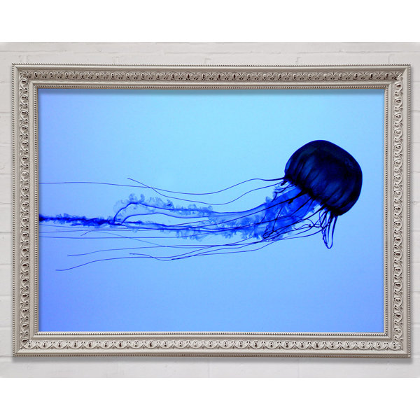 Bright Star Elegant Jellyfish - Single Picture Frame Print | Wayfair.co.uk