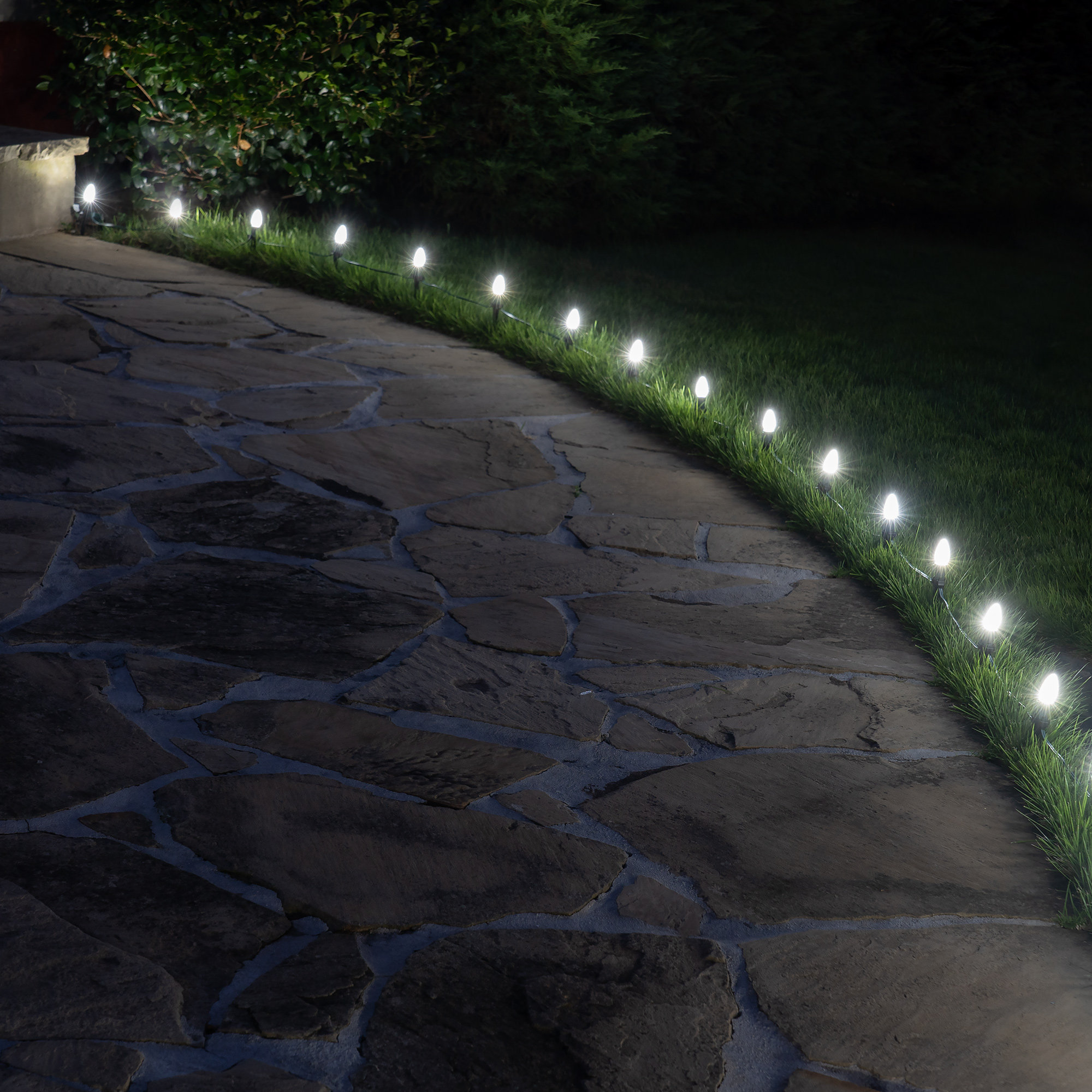 Wintergreen Lighting OptiCore Shatterproof LED Luminary & Pathway Lights & Reviews | Wayfair