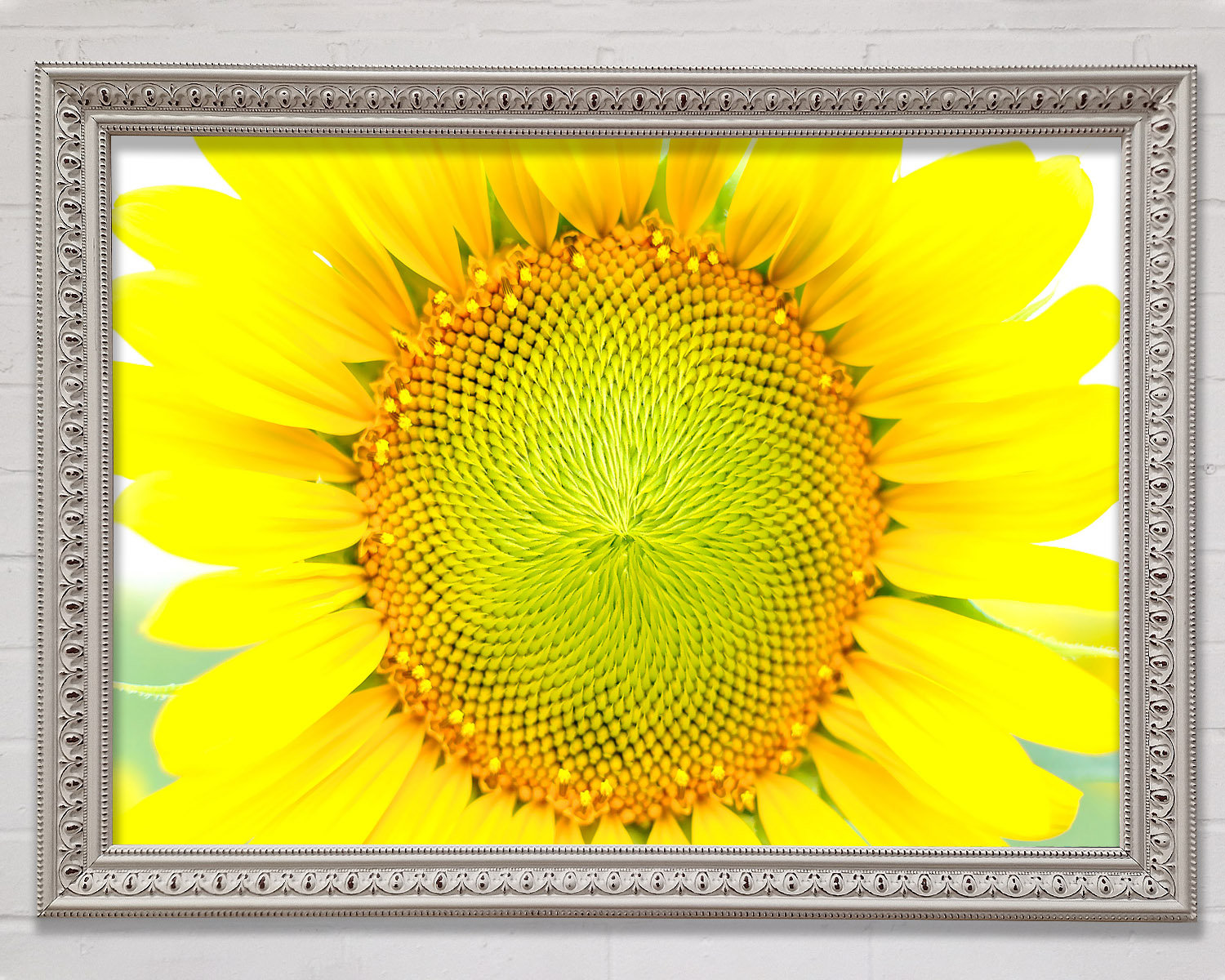 Bright Star Dear Summer - Single Picture Frame Art Prints | Wayfair.co.uk