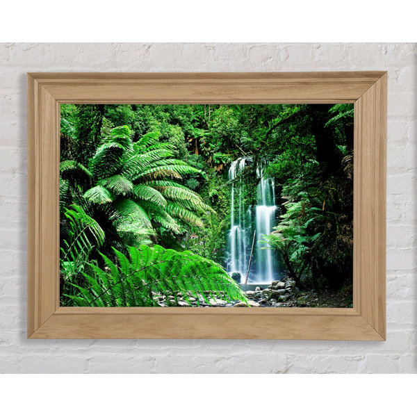 Bright Star Hidden Woodland Waterfall - Single Picture Frame Print ...