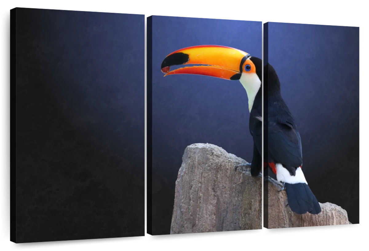 Latitude Run® Toucan With Grape | Wayfair