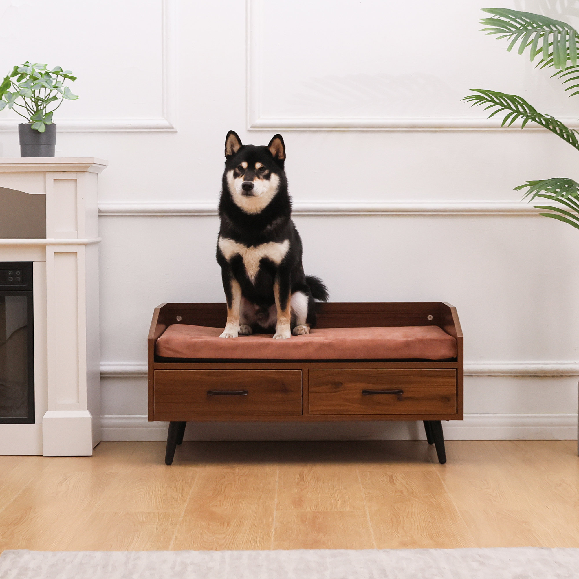 Tucker Murphy Pet™ Canapé-lit moderne pour chien avec tiroirs et ...