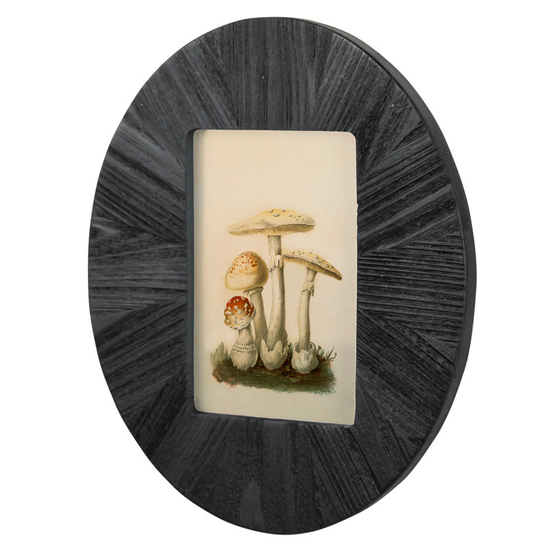 Gracie Oaks Kenshaun Solid Wood Picture Frame | Wayfair