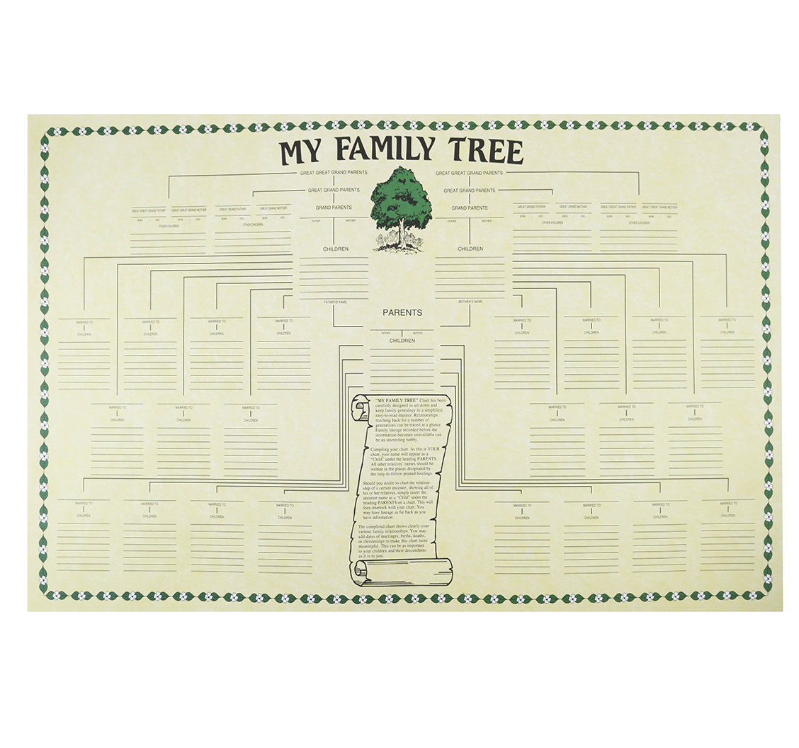 Treasure Gurus Large Genealogy Family History Tree Genetic Ancestry ...