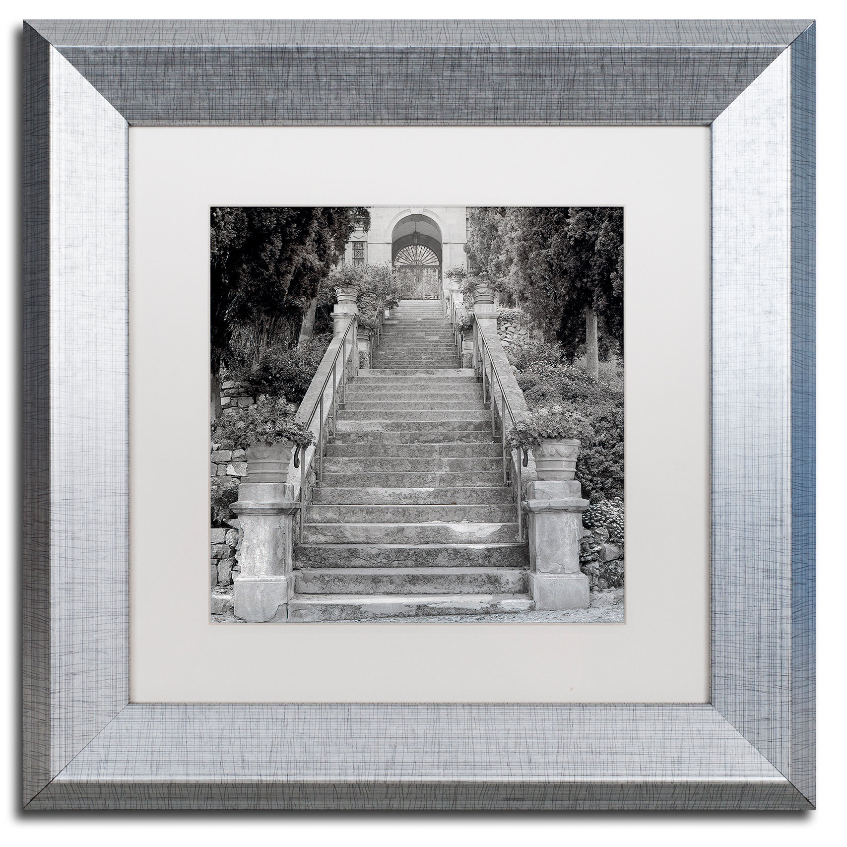 Ebern Designs Alan Blaustein 'Liguria II' Framed Photographic Print ...