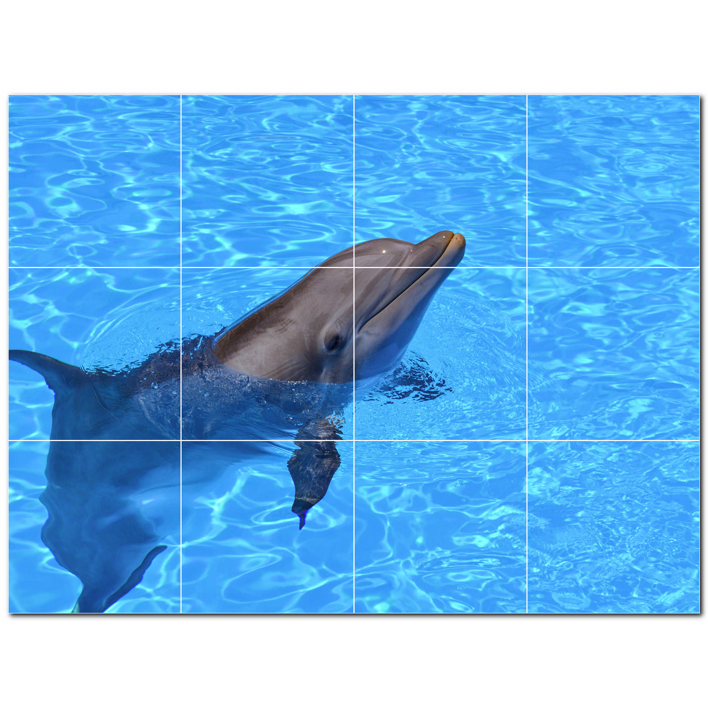Picture-Tiles.com 18" x 24" Ceramic Dolphin Photo Decorative Mural Tile ...