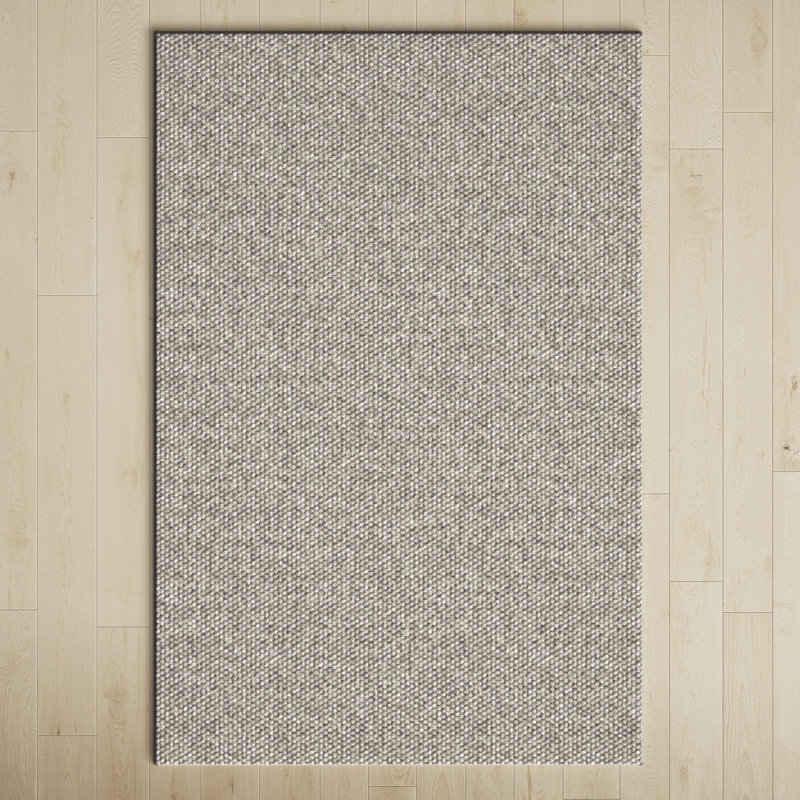 Birch Lane™ Elle Handmade Silver Rug & Reviews | Wayfair