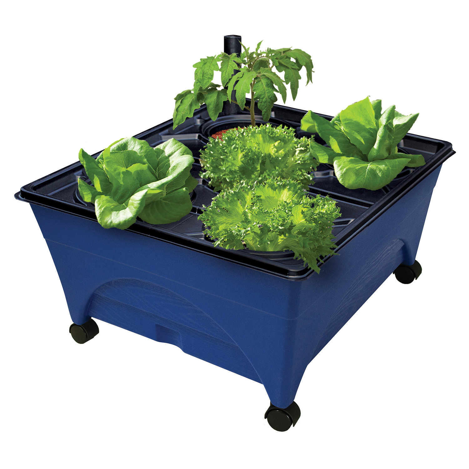 EMSCO Group Grow Box Hydroponic Unit & Reviews | Wayfair