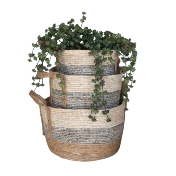 Handmade Basket - Set of 3 & Reviews | Birch Lane