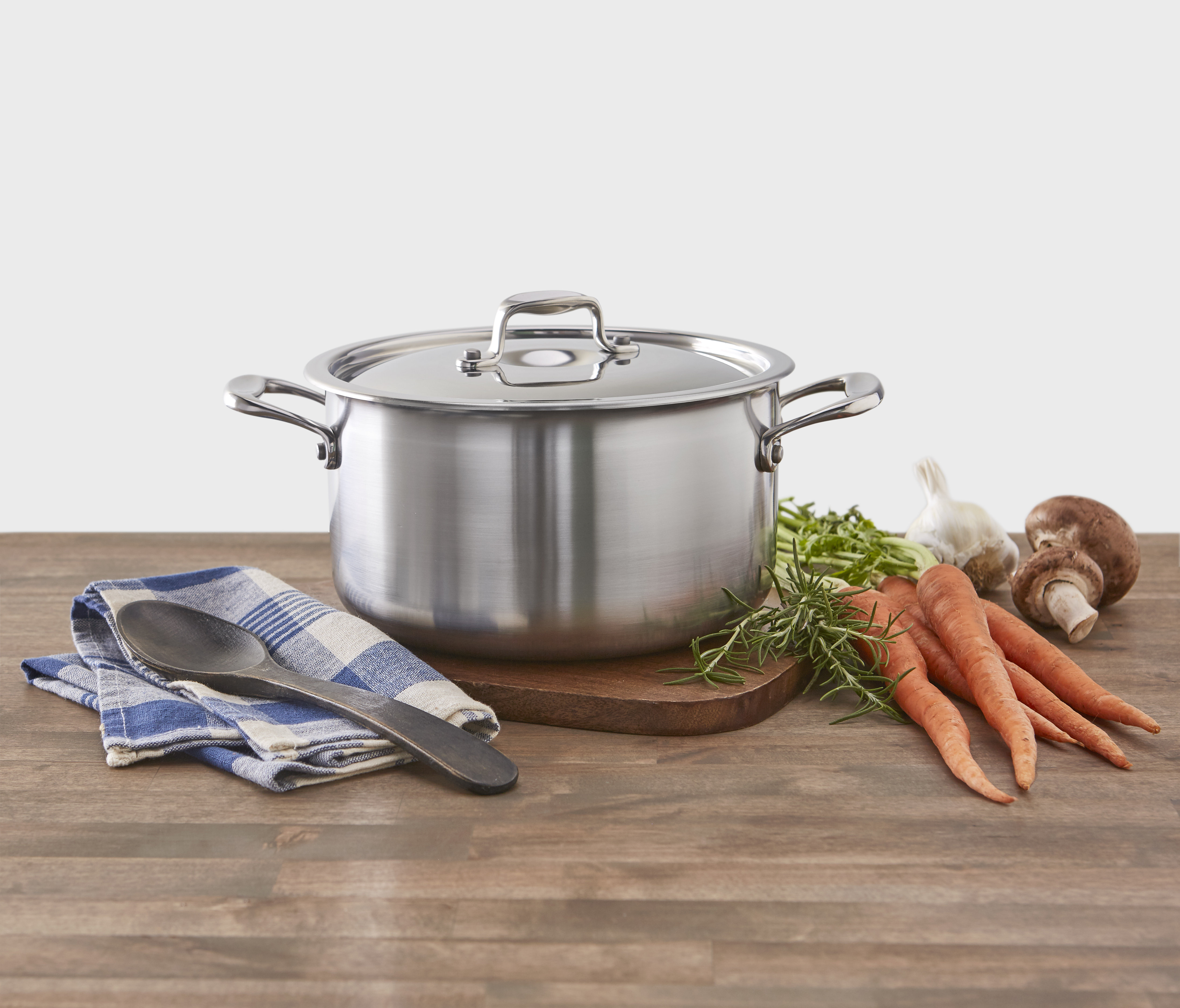 NUCU 5-Ply Stainless Steel Stock Pot with Lid & Reviews | Wayfair