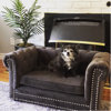 Etta Avenue™ Bria Dog Sofa & Reviews | Wayfair