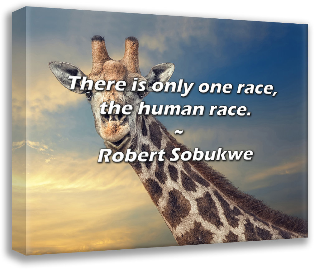 Dakota Fields Robert Sobukwe Quote: There is only one race, the human ...
