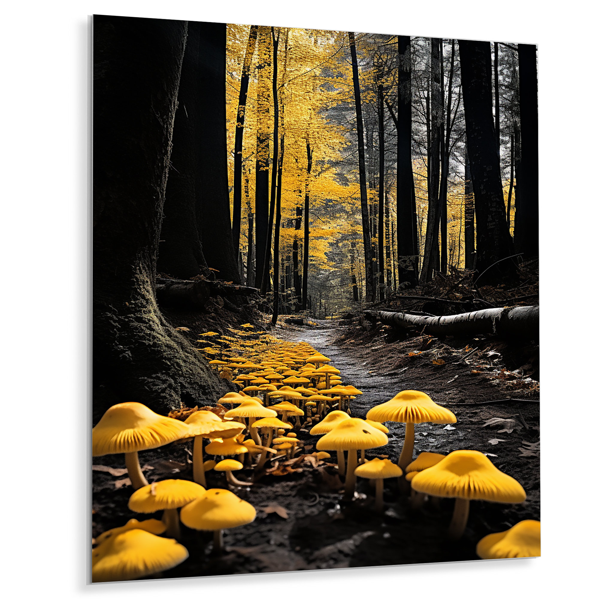 Millwood Pines Yellow And Black Forest Path I - Landscape & Nature ...