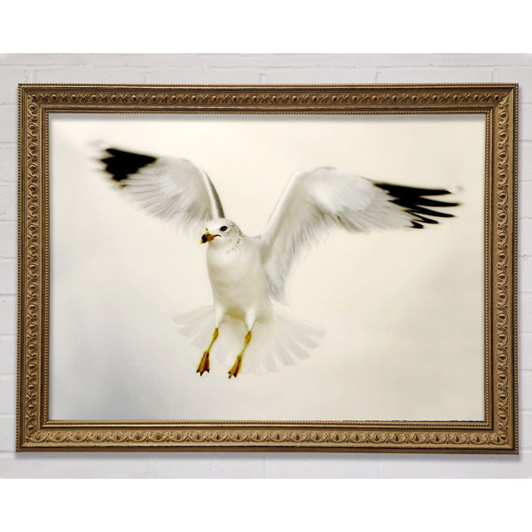 Highland Dunes Flying Seagull Framed Print | Wayfair.co.uk