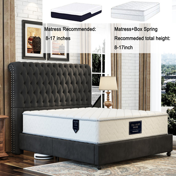 House of Hampton® Jamileth Upholstered Metal Sleigh Bed & Reviews | Wayfair