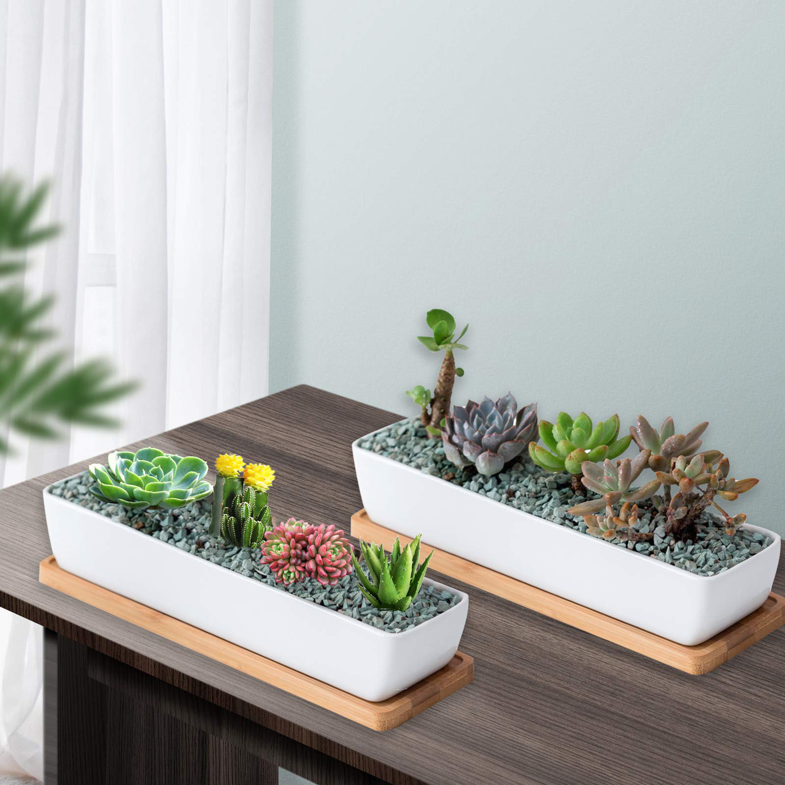 Latitude Run® 2 Pack White Succulent Planter Pots, 11.1 Inch Long ...