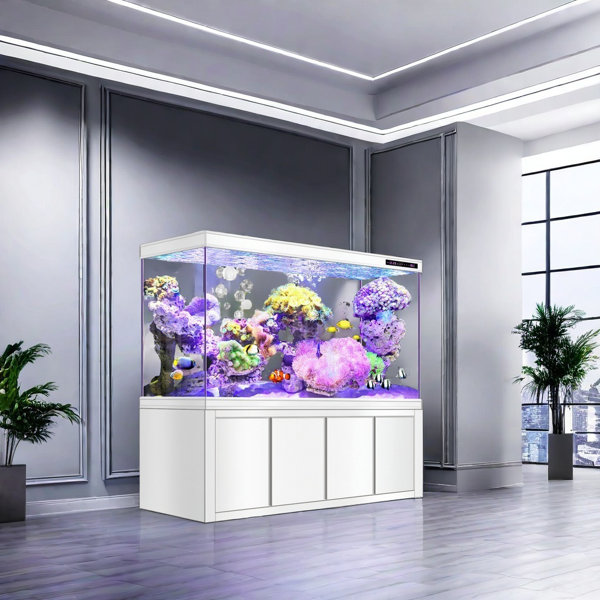 Lingxis Modern Minimalist Rectangular Eco Aquarium Tank | Wayfair
