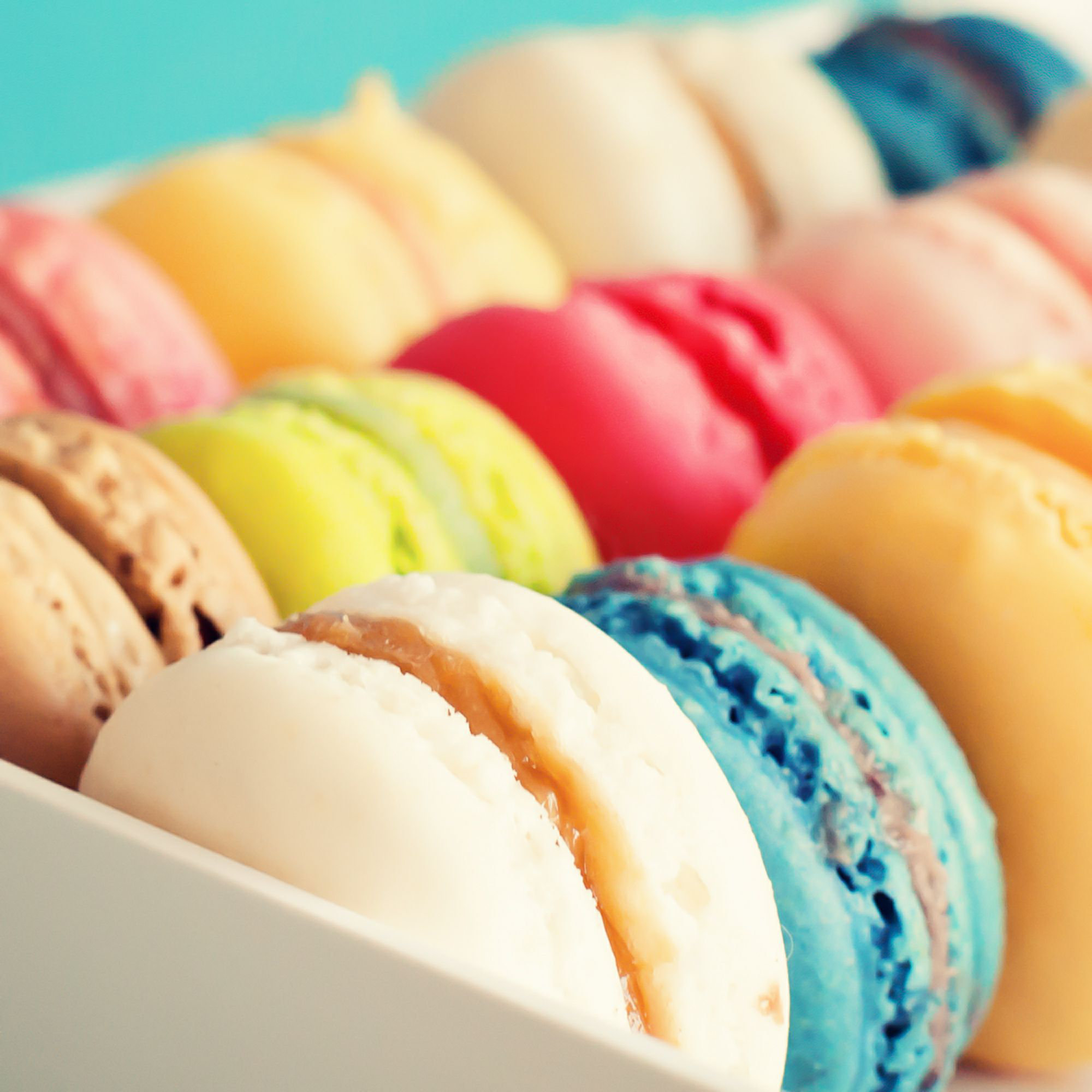 Ebern Designs Elzie Rows Of Macaroons by - Print - Wayfair Canada