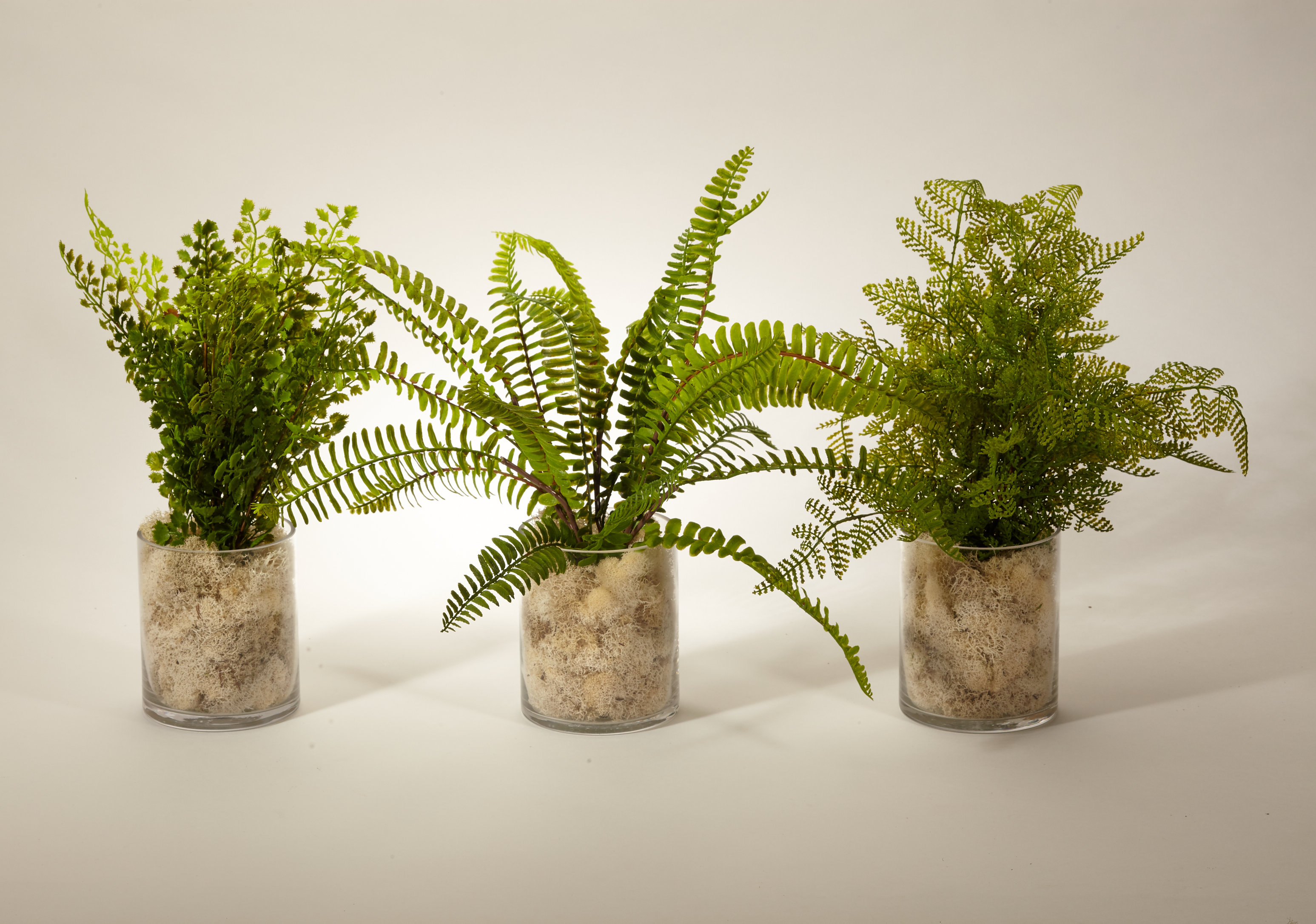T&C Floral Company 3 - Piece Artificial Fern Plant in Jar Set & Reviews ...