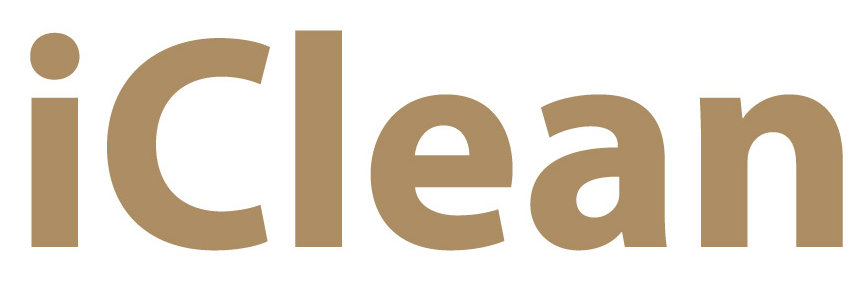 The Decal Guru iClean Laundry Wall Decal | Wayfair