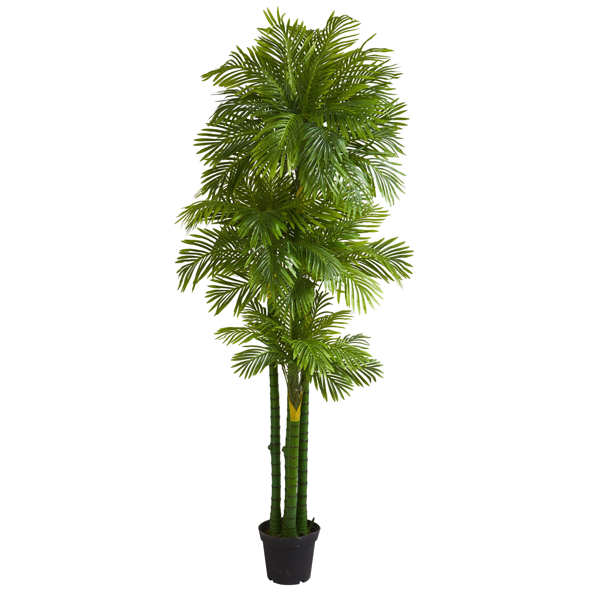 Bayou Breeze 82" Phoenix Palm Tree in Planter & Reviews | Wayfair