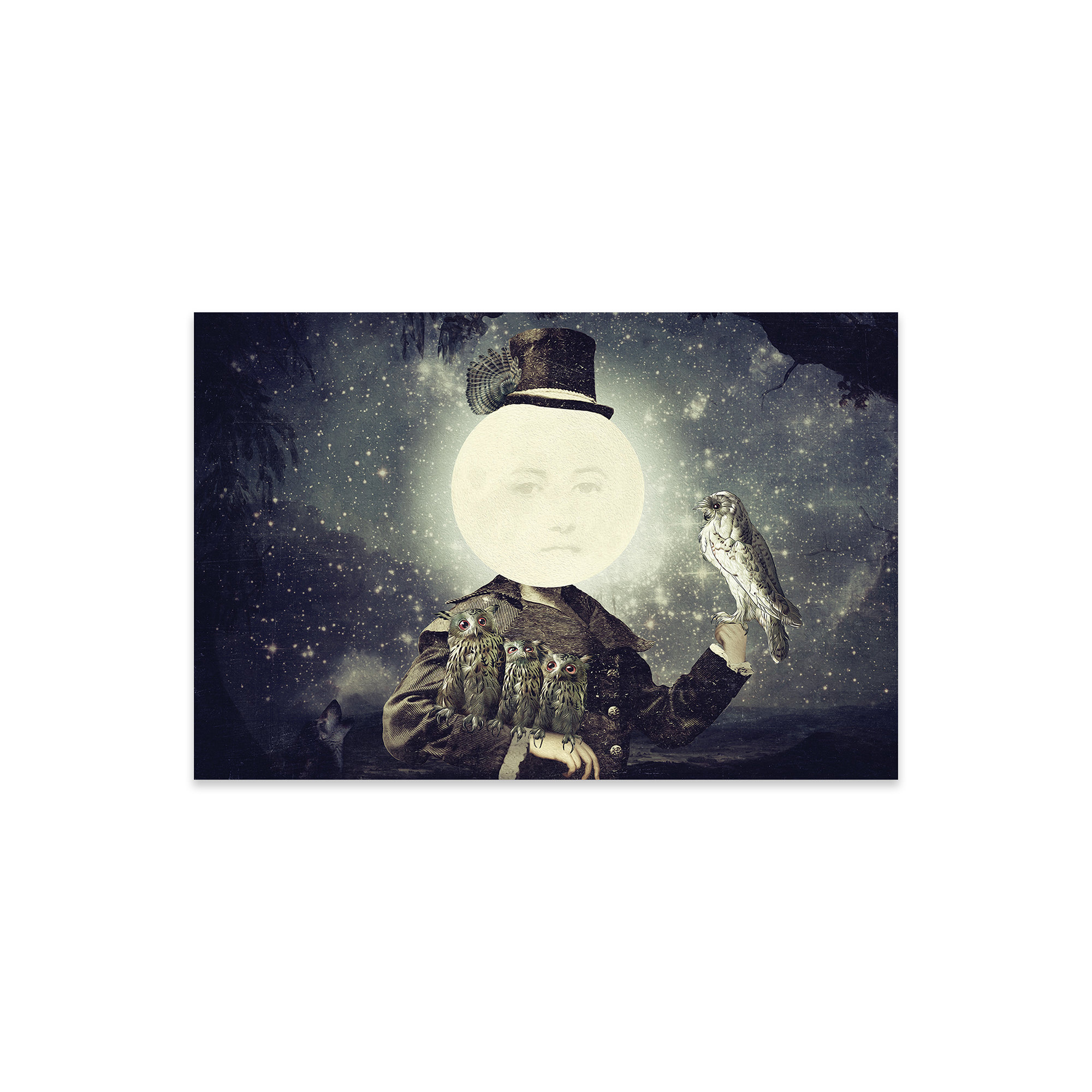 Trinx Lady Moon - No Frame Painting | Wayfair