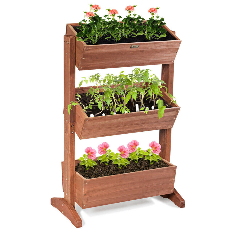 Gracie Oaks Drost Tier Raised Garden Vertical Freestanding Elevated ...