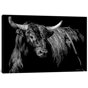 Bless international " Brindle Rodeo Bull " by Julie T. Chapman on ...