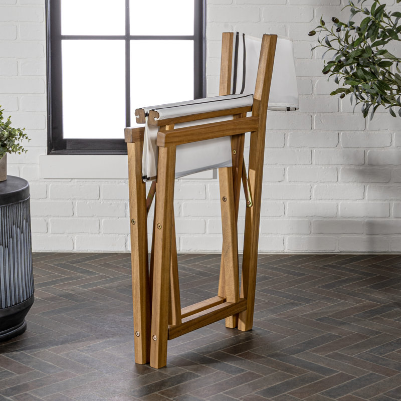 Hokku Designs Zaniya Folding Director Chair | Wayfair