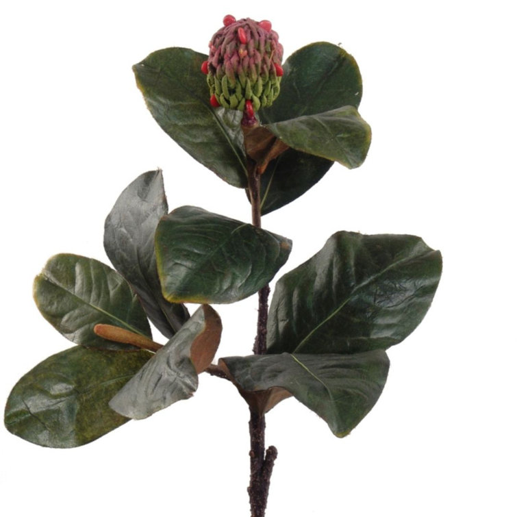 Primrue Magnolia Sprays | Wayfair