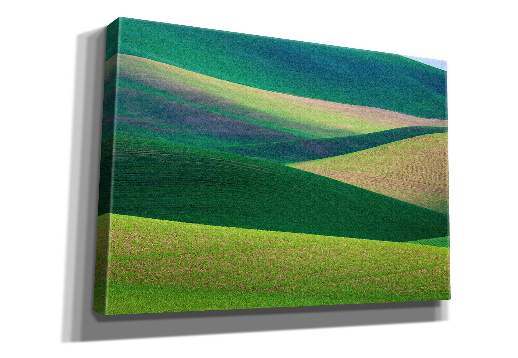 Wrought Studio™ 'Palouse Abstract' by Rick Berk Canvas Wall Art | Wayfair