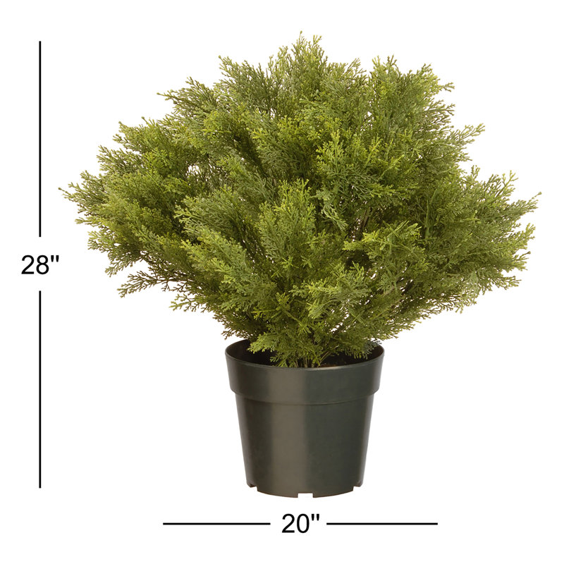 The Holiday Aisle® 28" Globe Juniper Tree & Reviews | Birch Lane
