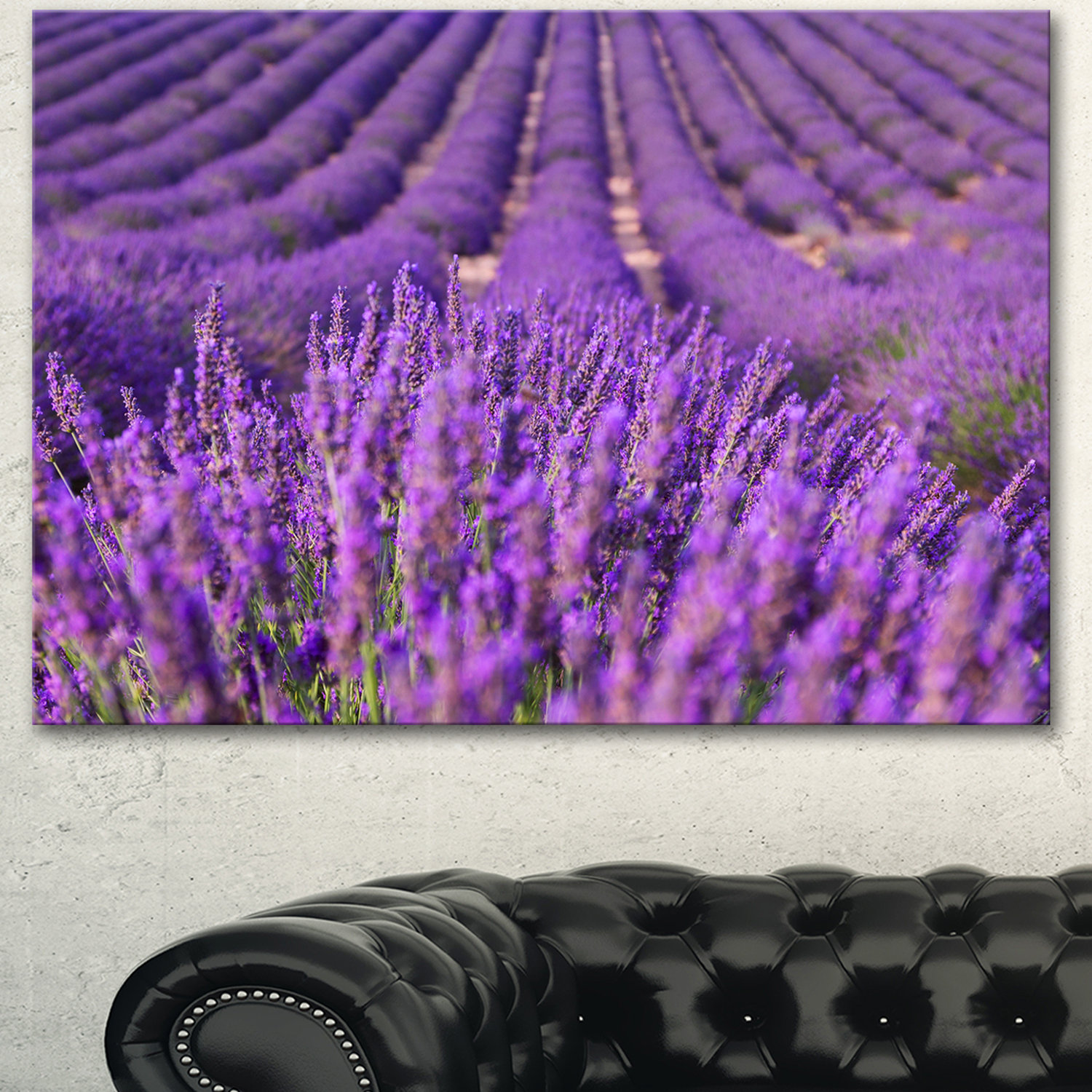Design Art 'Beautiful Fragrant Lavender Fields' Photographic Print on ...