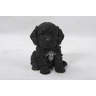 Hi-Line Gift Ltd. Sitting Cockapoo Puppy Statue & Reviews | Wayfair